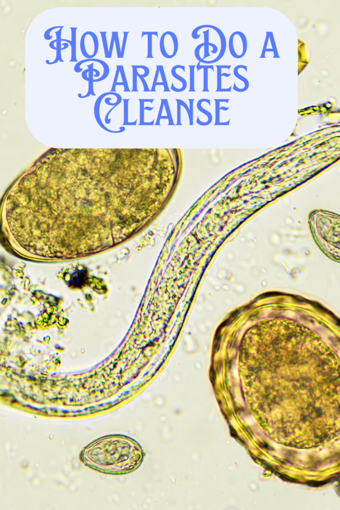 Parasite Cleanse: Natural Ways to Rid Your Body of Parasites - Holistic ...